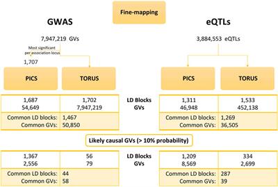 Frontiers | Benchmarking post-GWAS analysis tools in major depression: Challenges and implications
